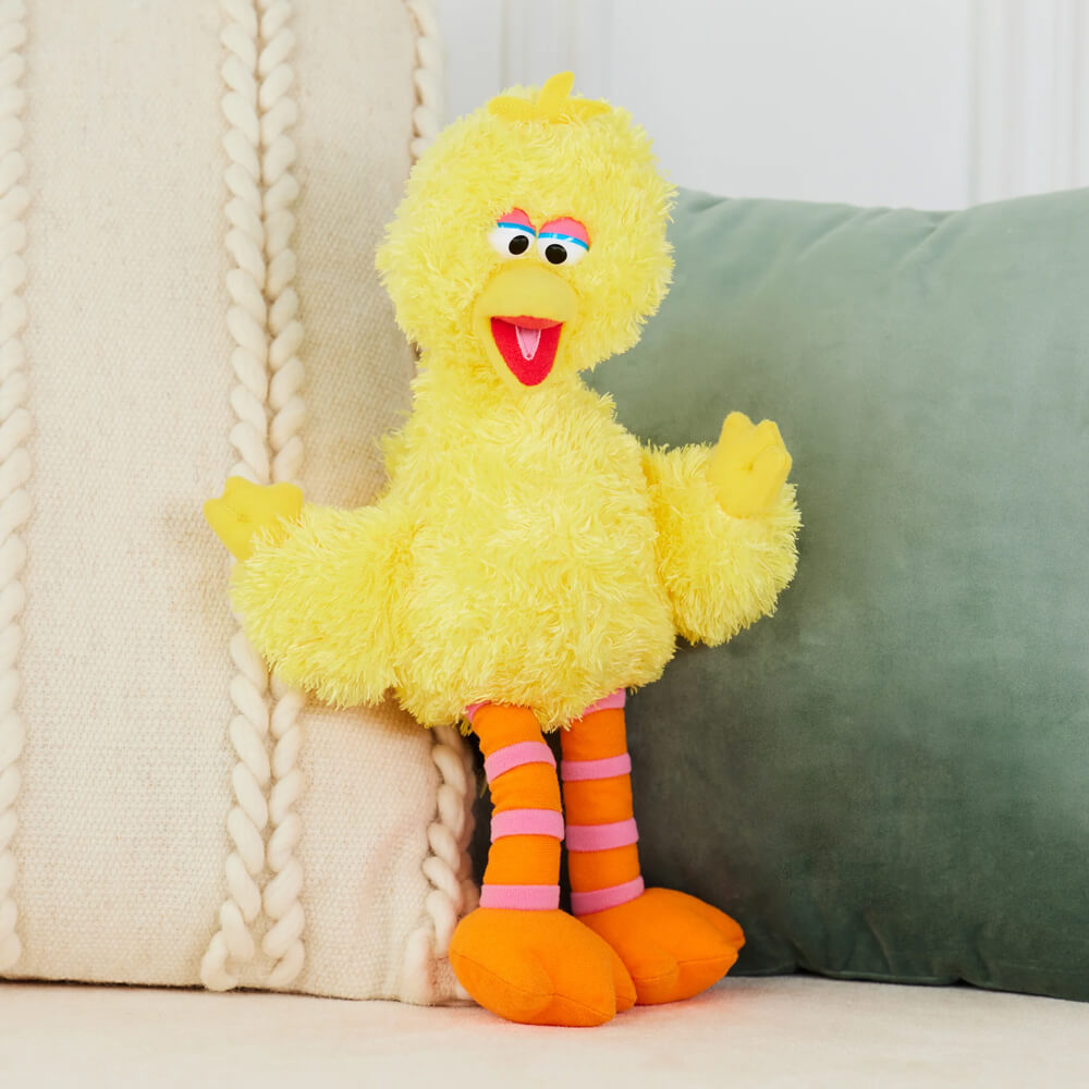 Big Bird Sesame Street Character – Ruperts